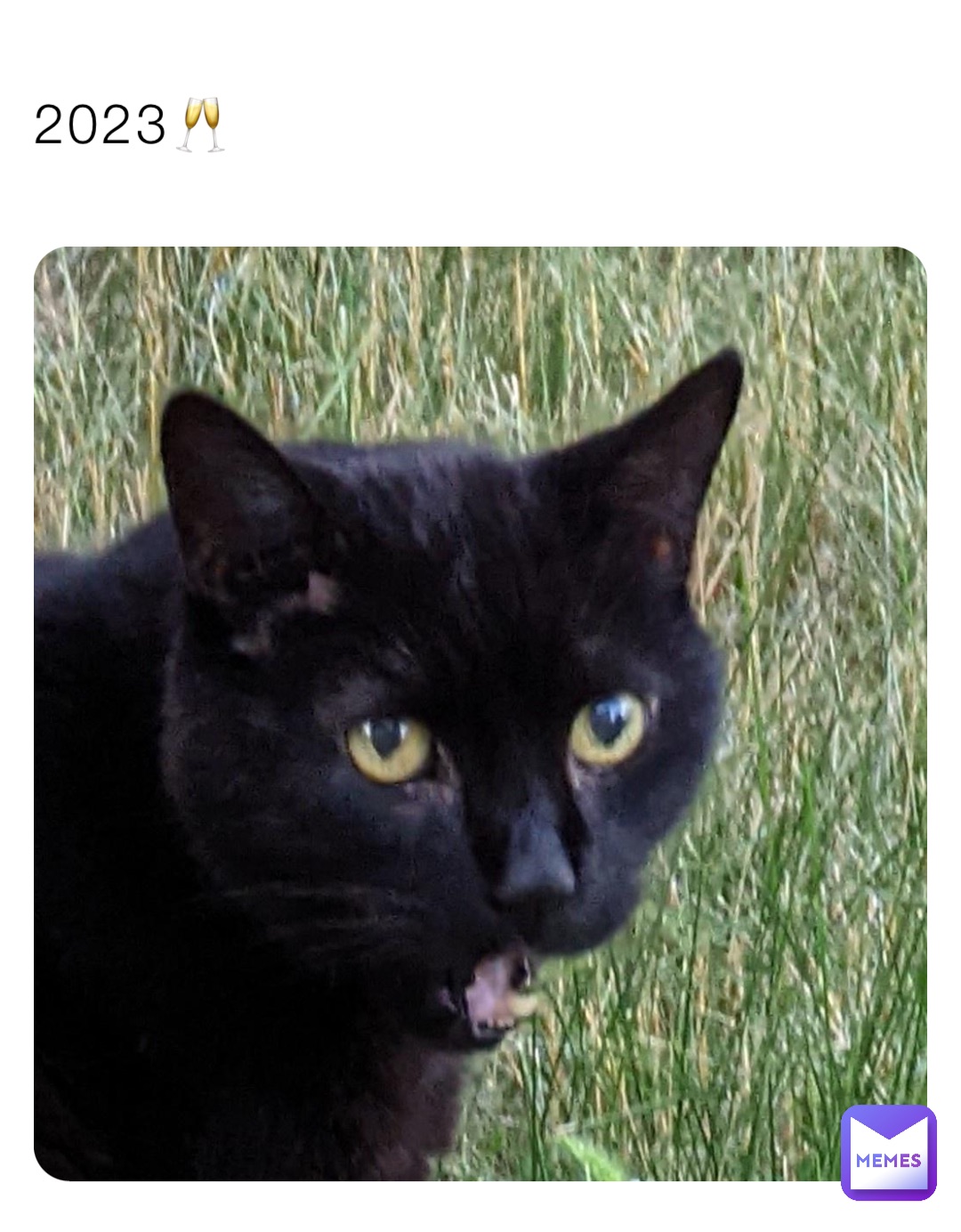 2023🥂 | @just_a_dumass | Memes