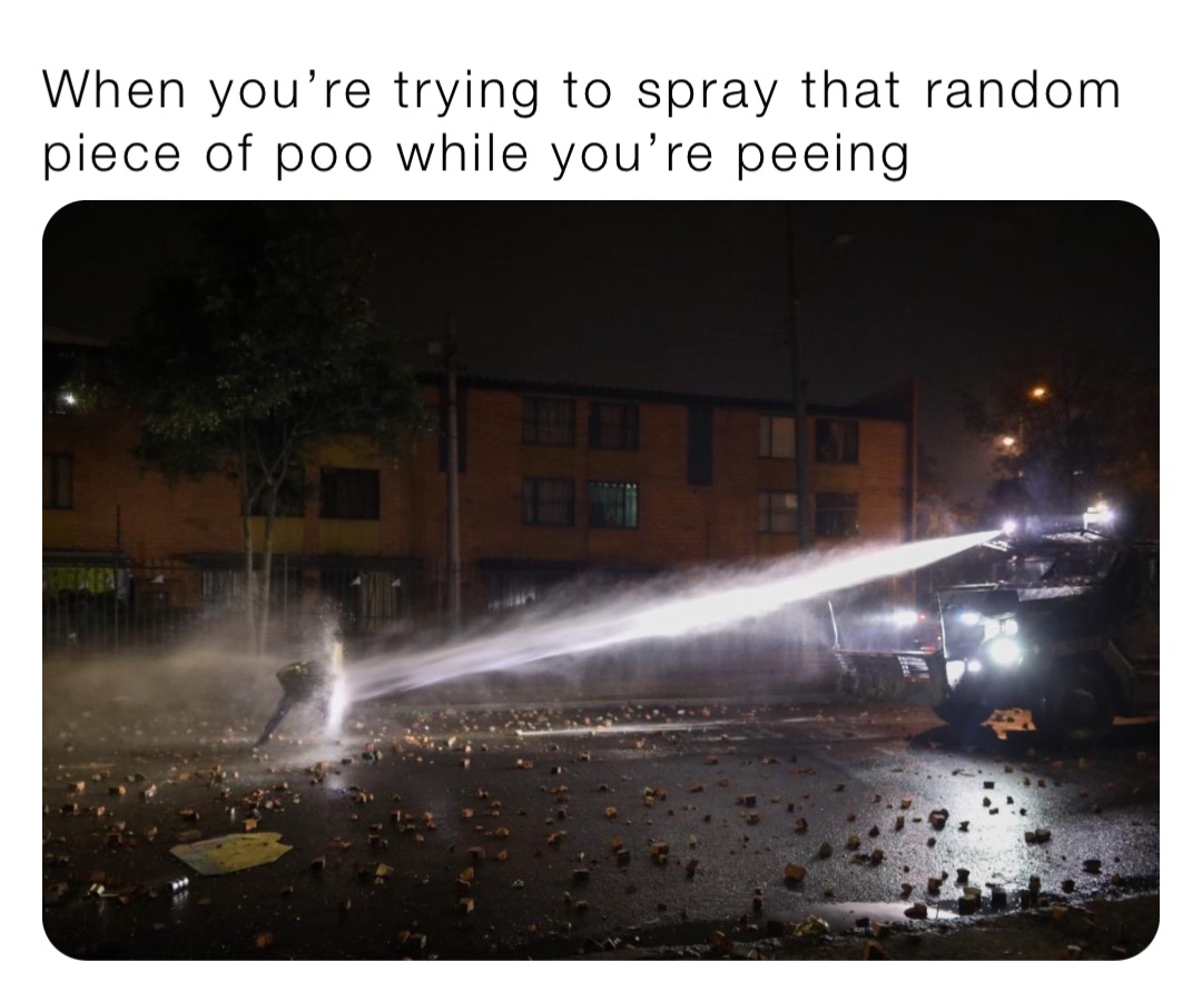 When you’re trying to spray that random piece of poo while you’re ...
