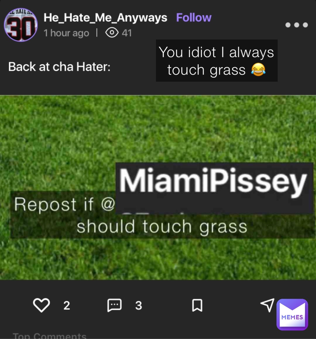 You idiot I always touch grass 😂 | @THANKFUL_Pissey | Memes