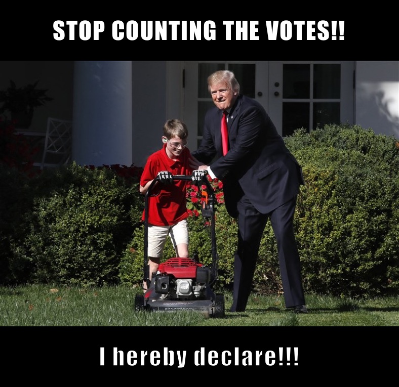 STOP COUNTING THE VOTES!! I hereby declare!!! | @abracaxworld | Memes
