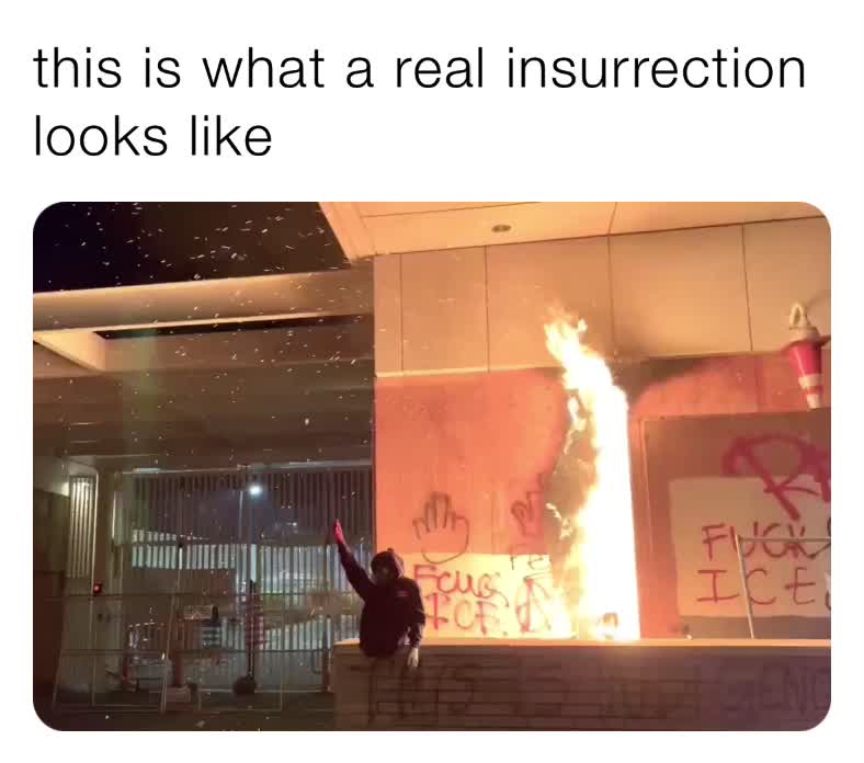 this is what a real insurrection looks like | @dleatherwood | Memes