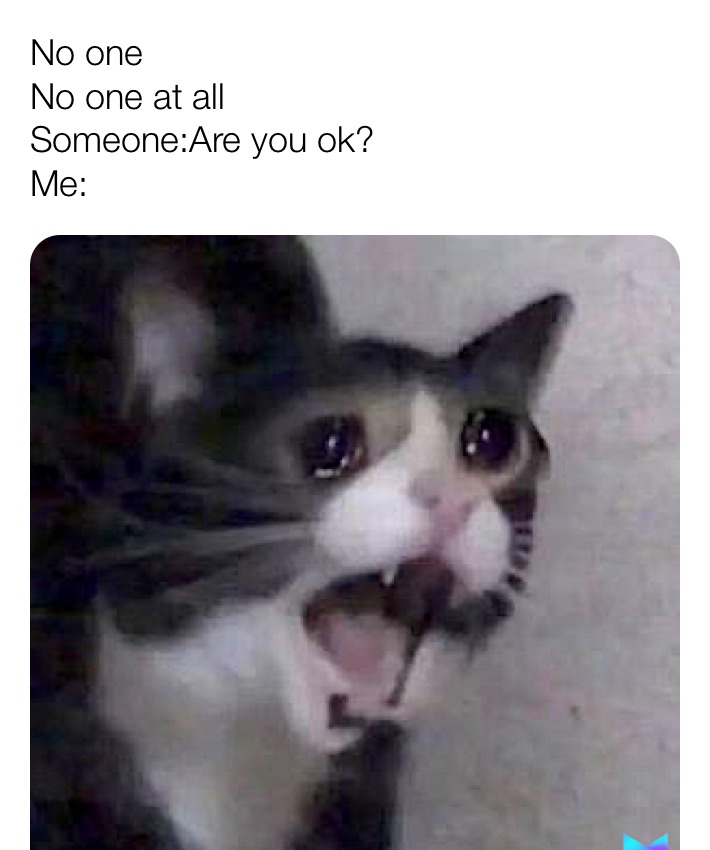 Post by @green_eggs_and_ham | Memes