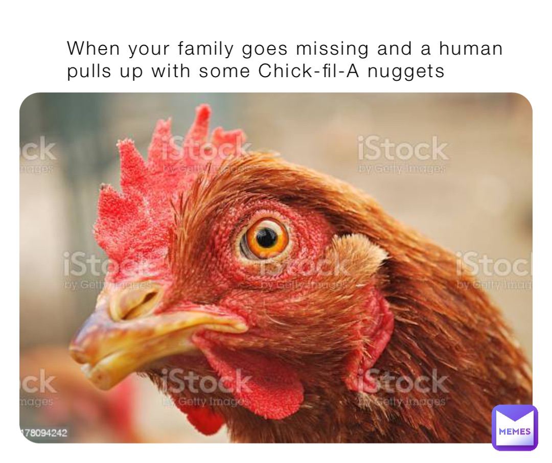 When your family goes missing and a human pulls up with some Chick-fil ...