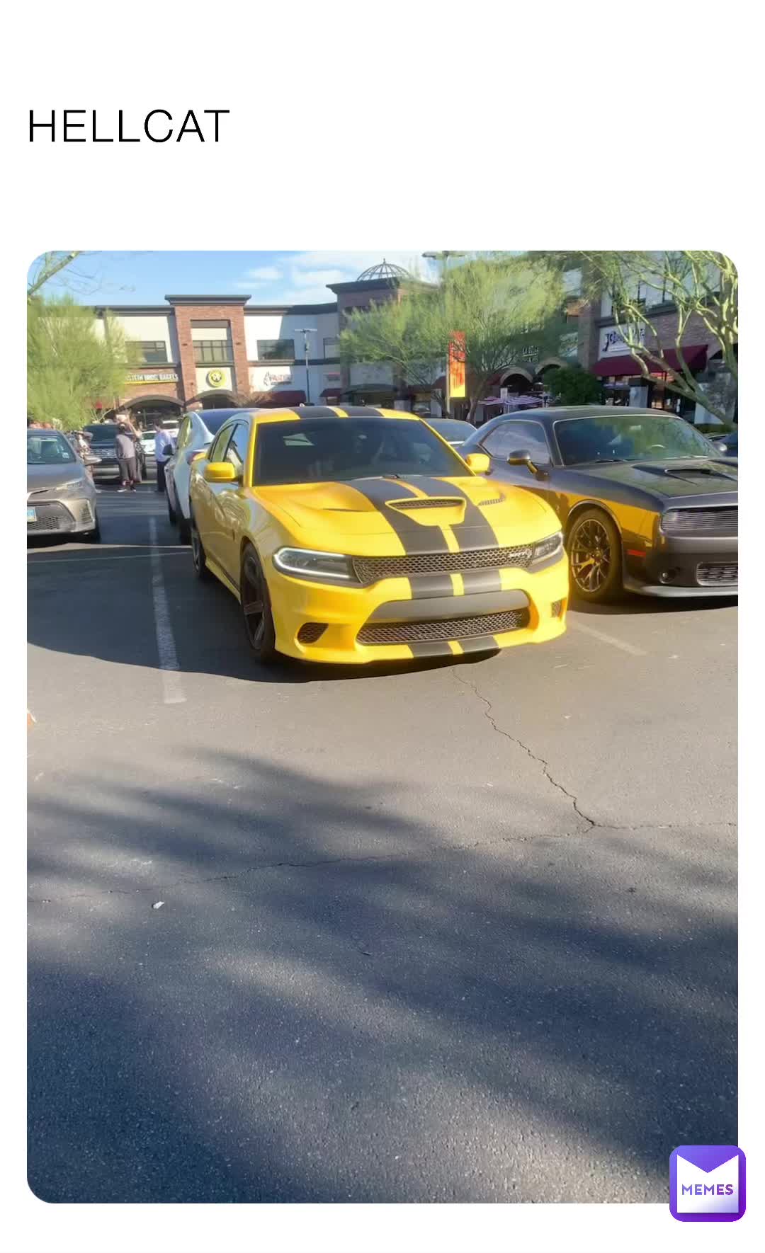 HELLCAT | @pstar7 | Memes