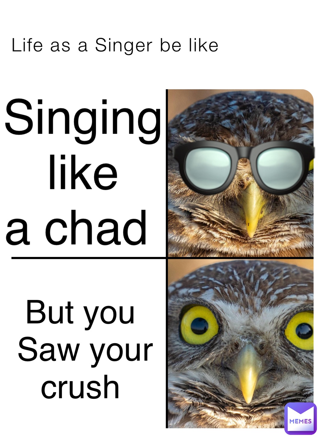 Life as a Singer be like Singing like a chad But you Saw your crush 👓 ...