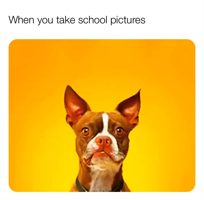 Post by @Verify | Memes